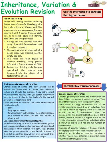 Aqa 1 9 Gcse Biology Science Inheritance Variation And Evolution Revision Workbook Teaching