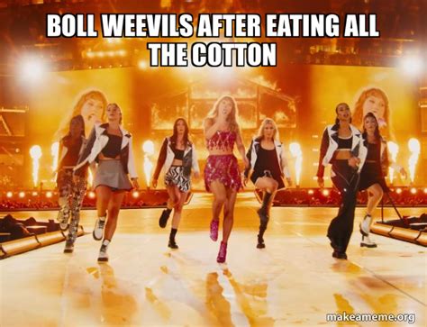Boll Weevils After Eating All The Cotton Swifties Taylor Swift Meme