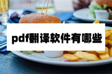 Pdf翻译软件有哪些？帮你解决文档翻译问题！ 哔哩哔哩