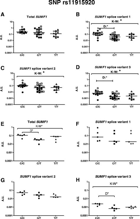 Sulfatase Modifying Factor 1 Sumf1 Is Associated With Chronic