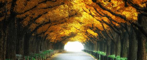 On Demand Webinar Fundamentals Of Esg Verification Lrqa Us