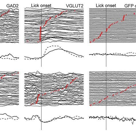 Imaging Neuronal Activity During Spontaneous Behaviors A Examples Of Download Scientific