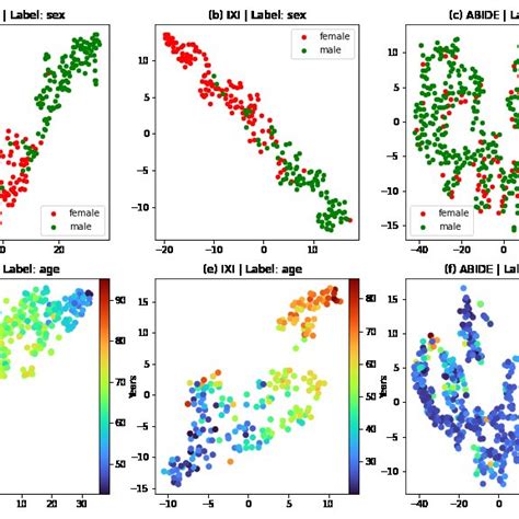 3 T Sne Plot Of Sfcn Features After Domain Shift From Ukb To Various