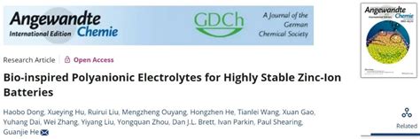 何冠杰angew：仿生聚阴离子电解质用于高稳定锌离子电池 华算科技