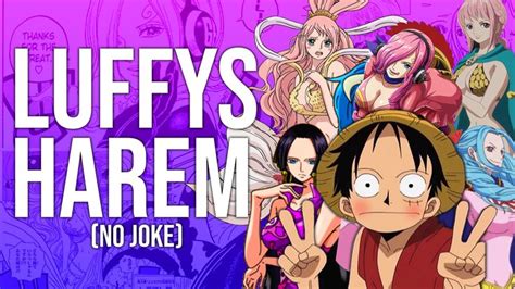 Luffy The Harem King Theory Luffy Harem King Anime