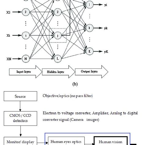 A Transfer Direction Of The Bpnn B Illustration Of The Bpnn C