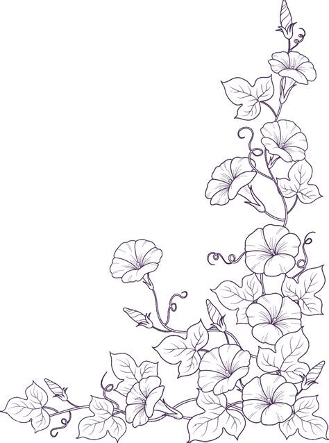 白黒モノクロの花のイラストフリー素材ライン線コーナー用No 859アサガオ透過色