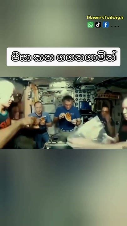 පීසා කන ගගනගාමීන් 😮 Gaweshakaya ගවේශකයා Shorts Short Youtube
