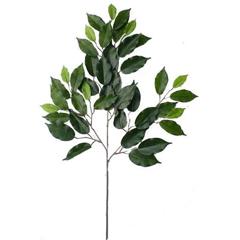ベンジャミン リーフ 24本セット造花 インテリア葉 飾り 人工 観葉植物 Leaf 001 造花観葉植物専門店ビワールデコ