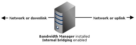 softperfect bandwidth manager online user manual internal bridging