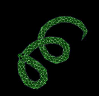 Snake Demo By Poplava