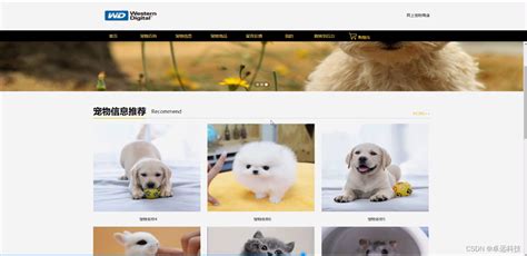 Java毕设项目网上宠物商店（javavuemybatismavenmysql）java连接数据库宠物商店项目 Csdn博客