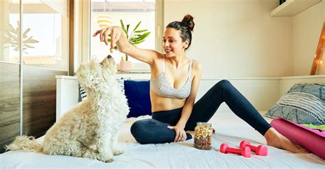 Can Dogs Eat Cashews
