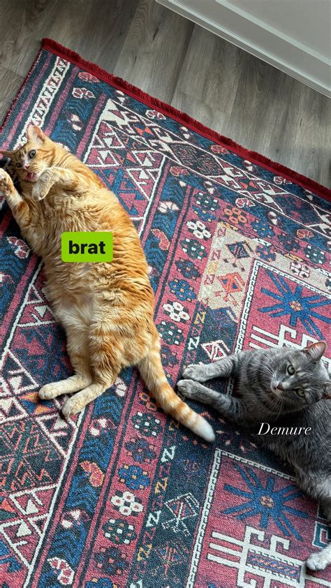 Brat Vs Demure