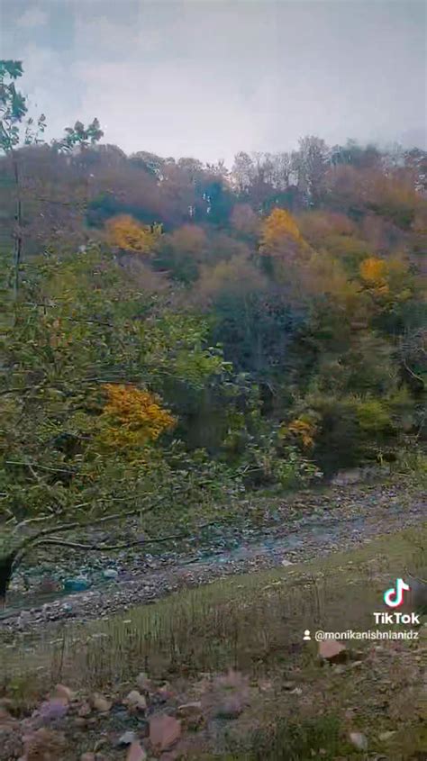 დალოცვილი ჩემი საქართველო 🍂 აქ ყველაფერს სხვა სურნელი აქვს სულ სხვა