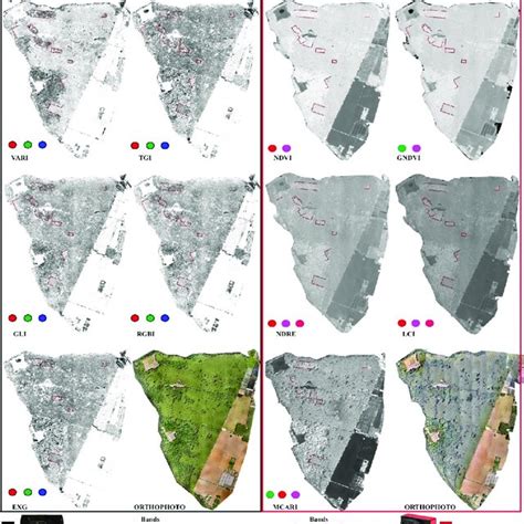 Typical Dem Data Structures A Dem Grid Btin C Contours By Moore
