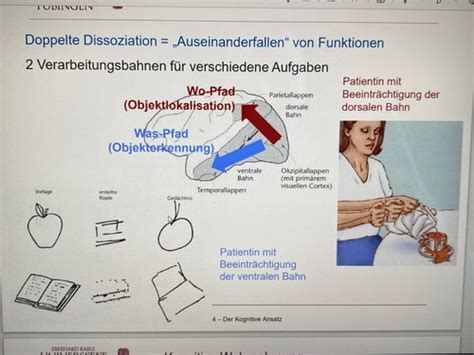 Der Kognitive Ansatz Karteikarten Quizlet
