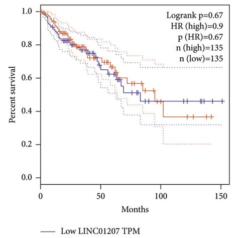 Association Between High Expression Of Linc01207 And Poor Prognosis