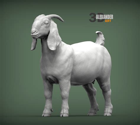 ♀️ Boer Goats Female 3d Printed Model・ Stl File For ・cults