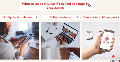 Airbnb Bed Bugs How To Avoid And Report 2023 Complete Guide Bugstips