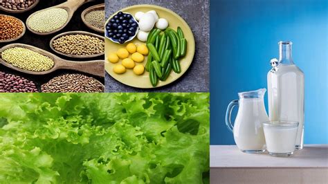 Boosting Female Fertility The Vital Role Of Calcium And Top Calcium