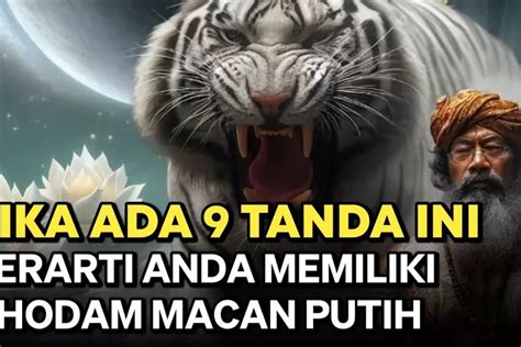 Keberadaan Misterius 9 Tanda Atau Ciri Orang Yang Didampingi Khodam