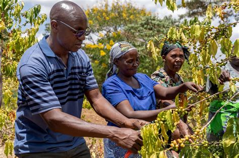 ‘buying Fairtrade Ensures Farmers Are Being Paid A Fair Price And