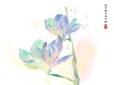 玉兰花——ai插画练习他们都叫我排长 站酷zcool
