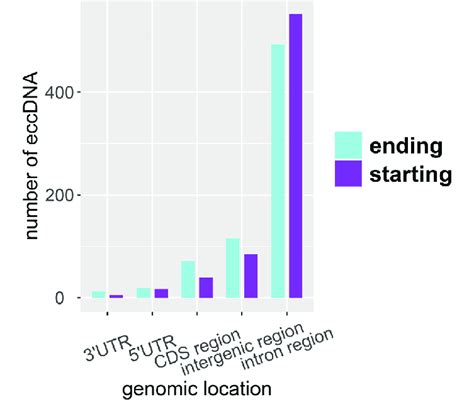 The Genomic Locations Of Starting And Ending Boundaries Of Eccdnas Download Scientific Diagram