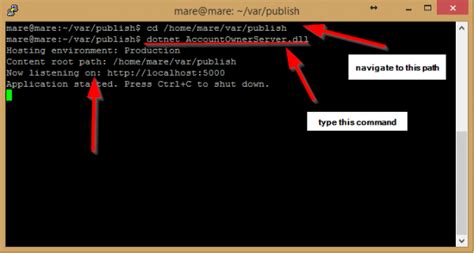 Aspnet Core Web Api Net Core Linux Deployment Code Maze