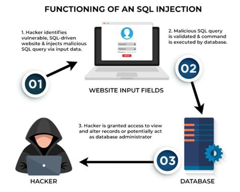 8 Best Programming Languages For Cybersecurity 2023 Guide