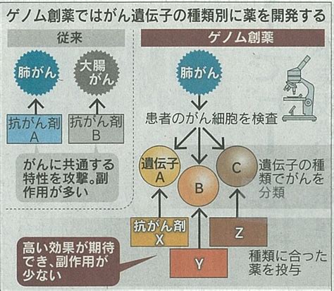 ゲノム創薬とは 吉村やすのり 生命の環境研究所