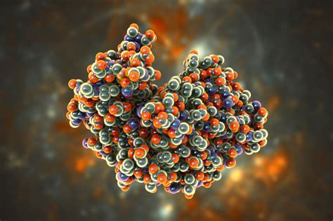 Studying The Structure Of Complex Biological Samples