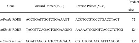 Primer Sequences For Chip Assays Download Table