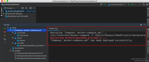 Idea 的 Docker 插件实战 Docker Compose 篇持续创作，加速成长！这是我参与「掘金日新计划 掘金