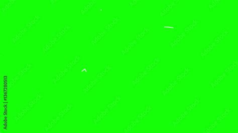 Math Science Formula Equation Calculation Text Loop Animation Overlay