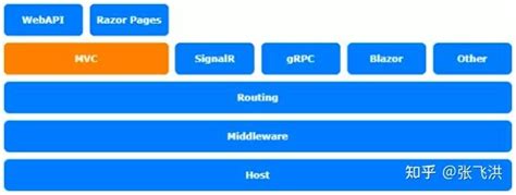 定制ASP NET Core的身份认证 知乎