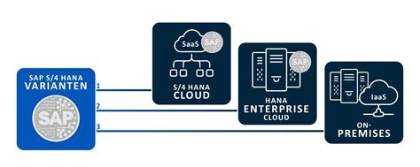 Spirit 21 · Three Variants For Sap S 4hana