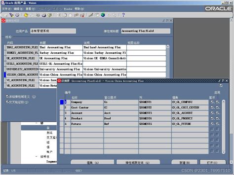 oracle ebs系统应用基础概述 2 oracle的页面用了什么flexfield怎么看 csdn博客