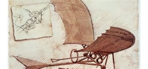 Il Volo Ed I Suoi Principali Movimenti Confederazione RHYNO