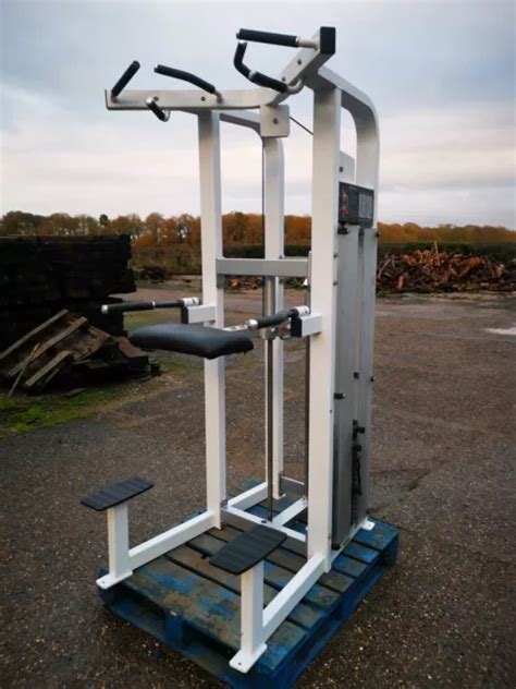 Life Fitness Pro Series Assisted Chin Dip Machine £139500 Picclick Uk