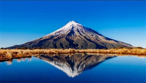 Subscribe To Our Newsletter Omnimax