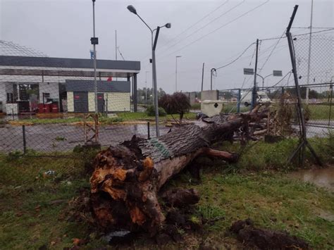 Temporal y cortes en el AMBA importarán energía de Brasil pero llevará hasta 72 horas