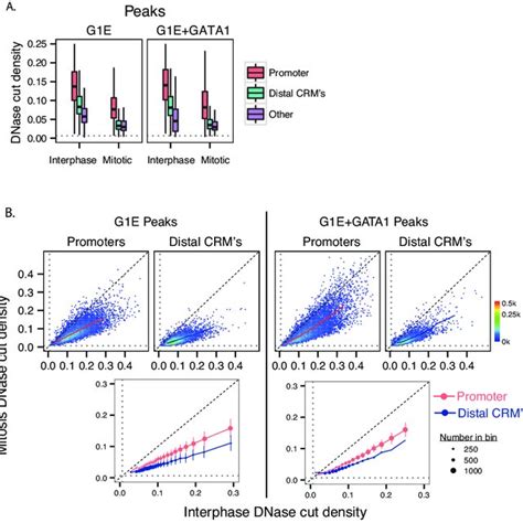 Figure S8 Chromatin States Defined By Chromhmm Emission Probabilities