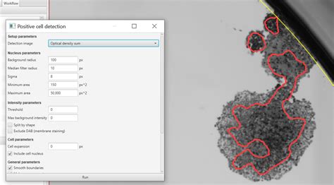 colony quantification image analysis image sc forum