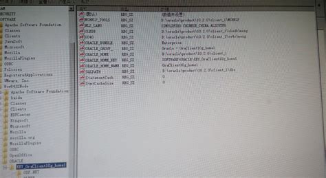 oracle客户端的字符集与服务端字符集不同 oracle客户端字符集和服务端字符集区别 csdn博客