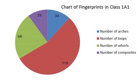 My Science Portfolio Pie Chart Of Graph Of Fingerprints 1A1