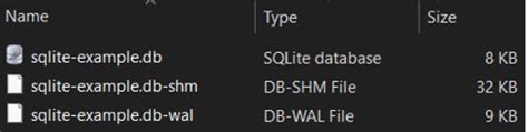 4 Sqlite Files Including Shm And Wal Download Scientific Diagram