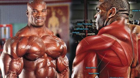 Big Traps Workout Routine
