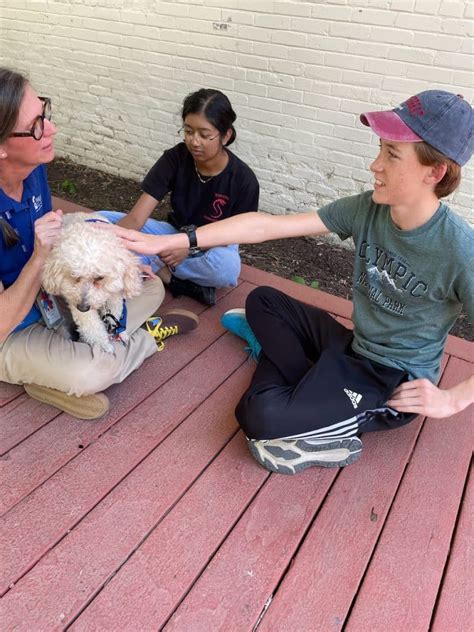 Wellness Council Organizes Upper School Break Keystone School San